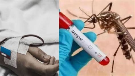 Fallece Hombre Por Dengue Grave En El Distrito Central Proceso Digital