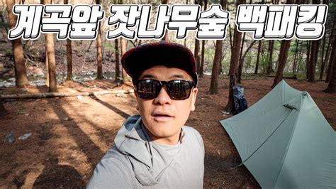 주금산 잣나무숲 백패킹 여긴 여름에 꼭 가보세요 전세캠 Youtube