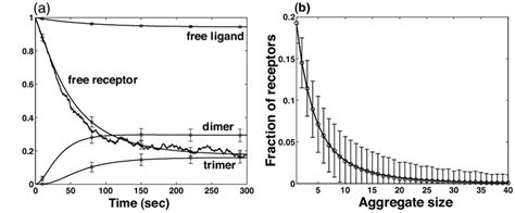 validation of the simulation algorithm for multivalent ligand receptor
