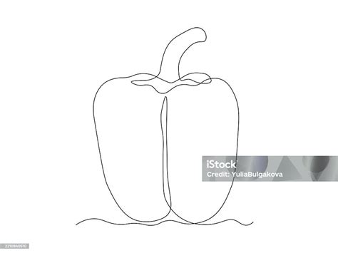 추상 피망 불가리아 고추 파프리카 연속 단일 한 라인 아트 손 그림 스케치 로고 고추류에 대한 스톡 벡터 아트 및 기타 이미지 고추류 낙서 드로잉 단고추 Istock