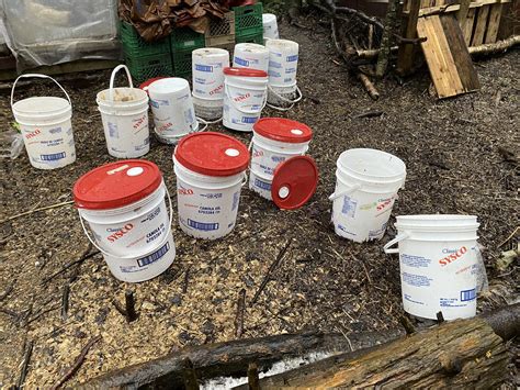 Other Uses For 5gal Buckets Rhomestead