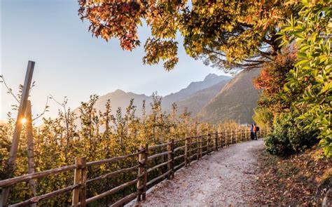 Tirolo Tesoro DellAlto Adige Tutto Da Scoprire CamperOnLine Magazine