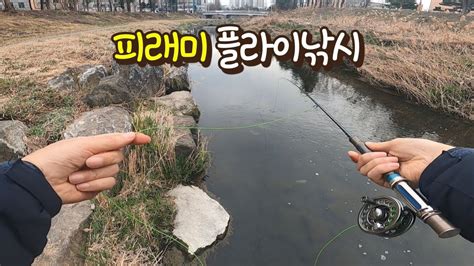 도심 한가운데서 피래미플라이 낚시 즐기기 Youtube