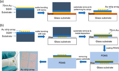 A Schematic Illustration Of The Fabrication Process For The Patch