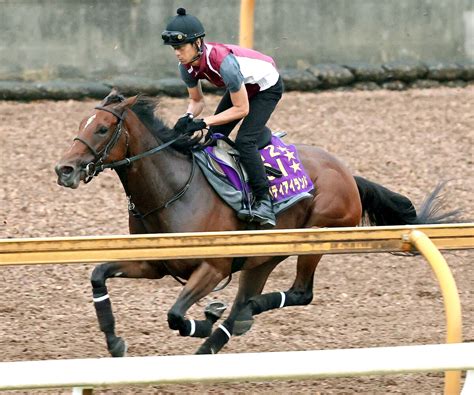 【秋華賞】リバティアイランドは順調そのもの 陣営「今は497キロ。自分で体をつくる馬です」 スポーツ報知