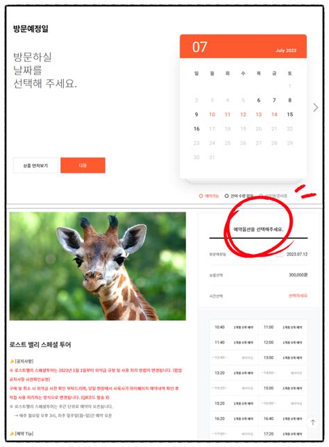 에버랜드 로스트밸리 스페셜투어 예약 특별했던 투어후기 네이버 블로그