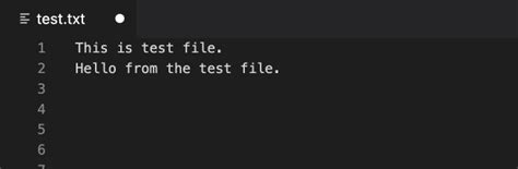 Python File Operation With Examples