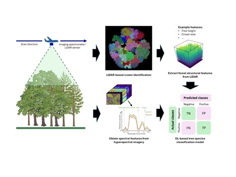 Ai Driven Mapping Of Forest Biodiversity Using Remote Sensing Duke Rhodes Iid