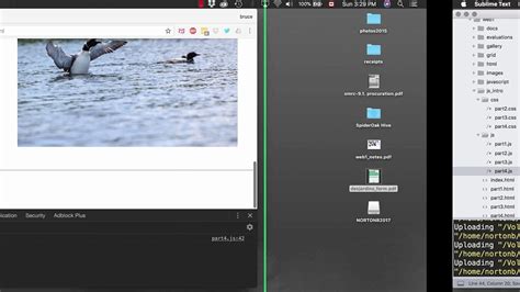 Part 4 Conditional Statements And Arrays Youtube