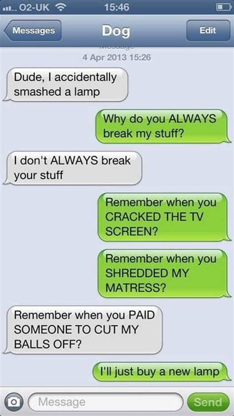 The 35 funniest text messages dogs would send, if they could text