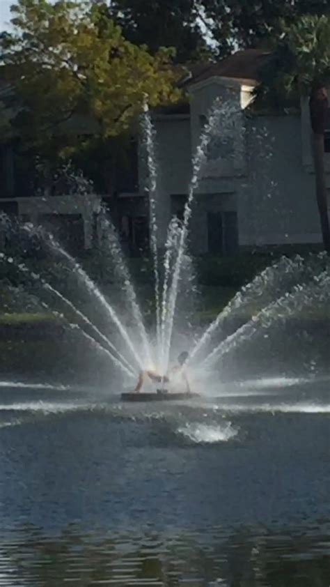 Florida Naked Fountain Woman The Adventures Of Accordion Guy In The 21st Century