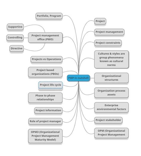 Project Management Professional Mindmap Starter Guide 360DigiTMG