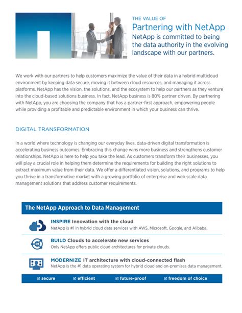 Netapp Value Of Partneringfy19