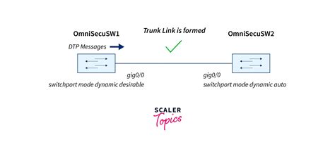 Dynamic Trunking Protocol Scaler Blog