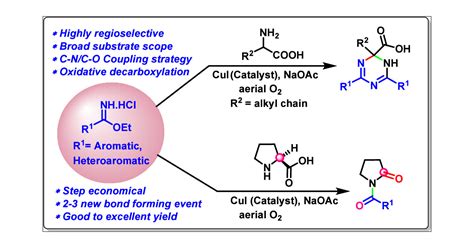 Cu I Catalyzed C Sp3 H Functionalization Of Amino Acids With Benzimidate And Reactive Oxygen