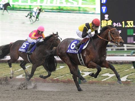 カフェファラオが左後肢骨折 来年のフェブラリーsかサウジcの復帰が目標 競馬ニュース Netkeiba