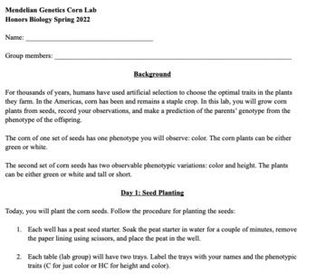 Mendelian Genetics Corn Lab By BioFUNatic TPT