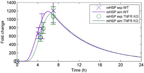 model simulation solid and dashed lines versus experimental data