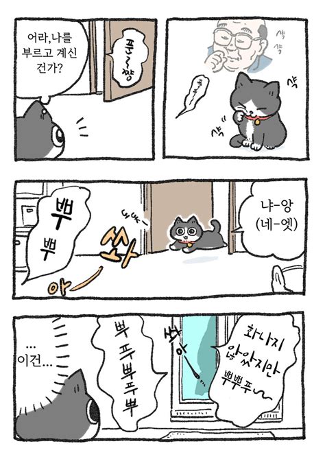 Daum 카페