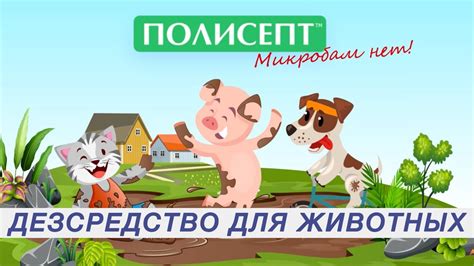 Дезинфицирующее средство для животных Полисепт - YouTube