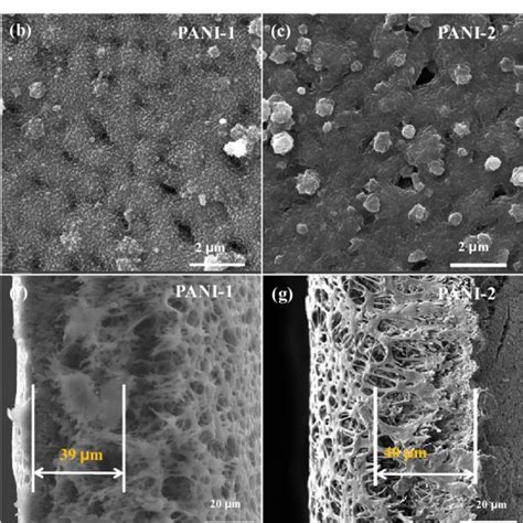 SEM Images Of Surface On A PANI 0 5 B PANI 1 C PANI 2 D PANI 3