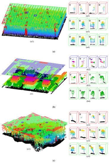 Forests Free Full Text Individual Tree Crown Segmentation Directly