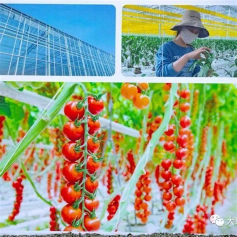 洱源打造4千亩现代农业产业园项目大理康养