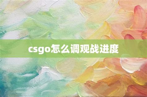 Csgo怎么调观战进度 Cs2知识库 Csgo攻略基地