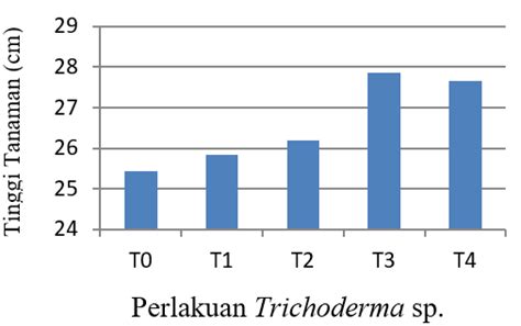 Gambar 1 Penggunaan Trichoderma Sp Terhadap Tinggi Tanaman Bawang