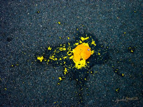 Squashing Oranges I Am Squashedorange