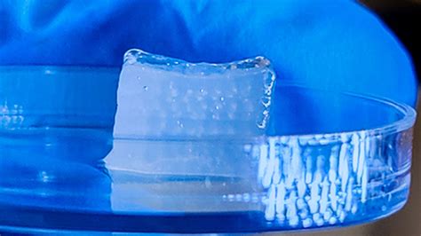 10 Times Faster 3d Bioprinting Tech Makes Functional Tissues In 40 Mins