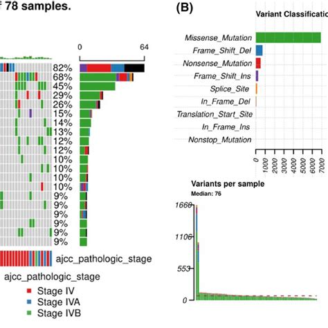 Mutational Landscape And Characteristics Of The Primary Cancer Tissue