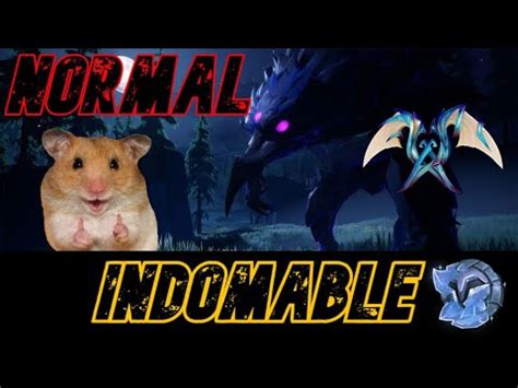 Dauntless Shrowd Reto Normal Indomable Youtube