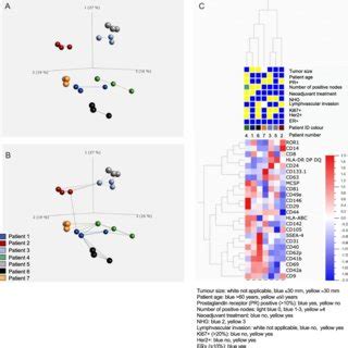 Principal Component Analysis Pca And Hierarchical Clustering Heatmap