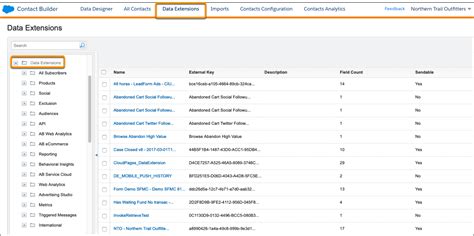 Data Extensions And Segmentation