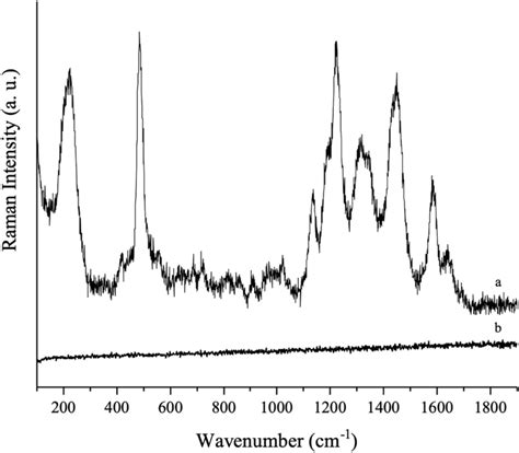 A Sers And B Normal Raman Spectra Of Small Fragments Of Pco Fruiting