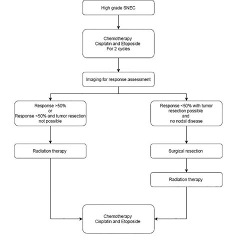 Algorithm Summarizing Management Of Sinonasal Undifferentiated