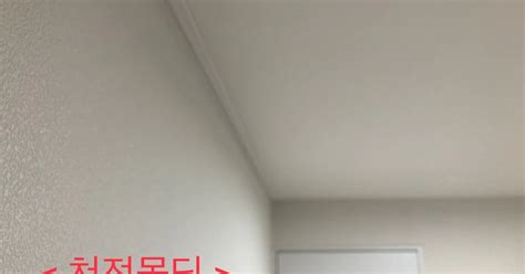 몰딩 교체작업 구주enc 숨고 숨은고수