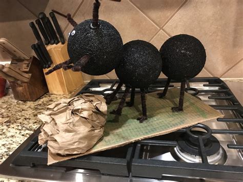 Build An Insect Project Build An Ant Project For School Is Complete