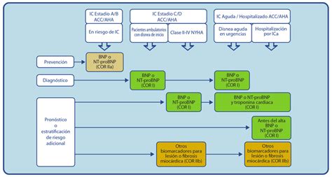 Indicaciones Para El Uso De Biomarcadores 3 Download Scientific Diagram
