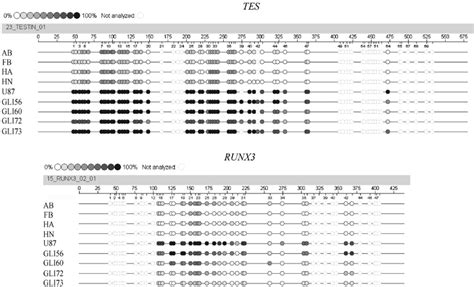 quantitative methylation results from maldi tof analysis of runx3 and