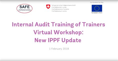 Internal Audit Training Of Trainers Virtual Workshop New Ippf Update
