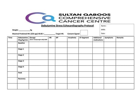 Dse Sheet Pdf