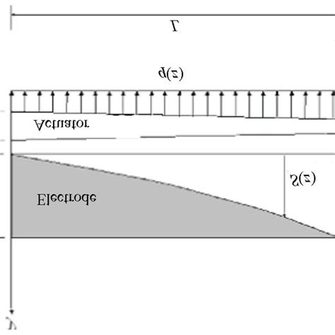 Schematic View Of A Curved Electrode Actuator Download Scientific Diagram