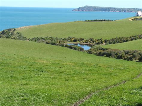 Victorian Native Vegetation Offsets Abzeco Melbourne Victoria