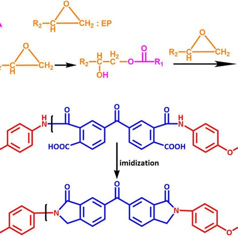 The Reaction Scheme For The Epoxy Resin Modified By Paa Download