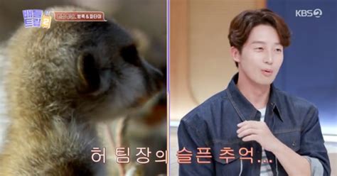 男끼리 비치클럽 가 두리번 허경환 미어캣 과거 고백 배틀트립2 조선일보