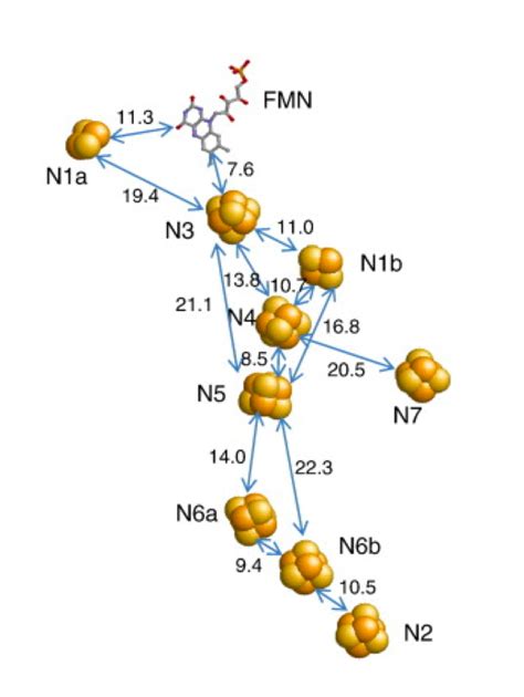 Hyperlipid Protons Where Is Fes Cluster N 1a