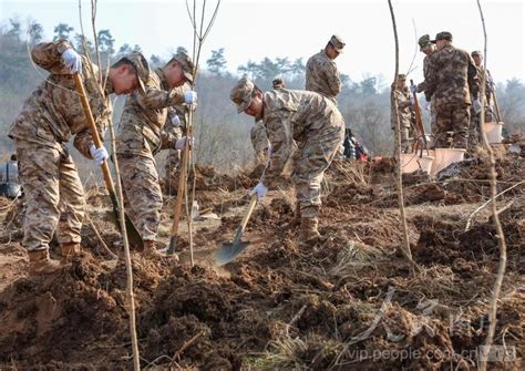 湖北襄阳：为春日添新绿 人民图片网