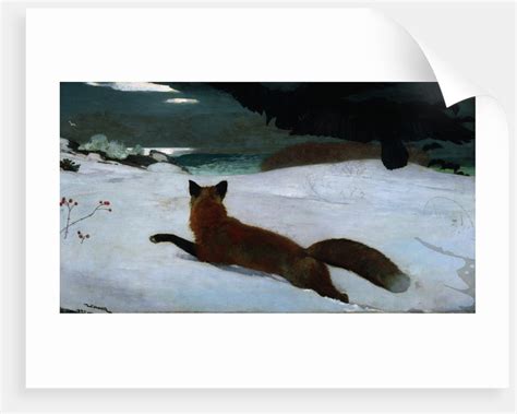 The Fox Hunt Posters And Prints By Winslow Homer
